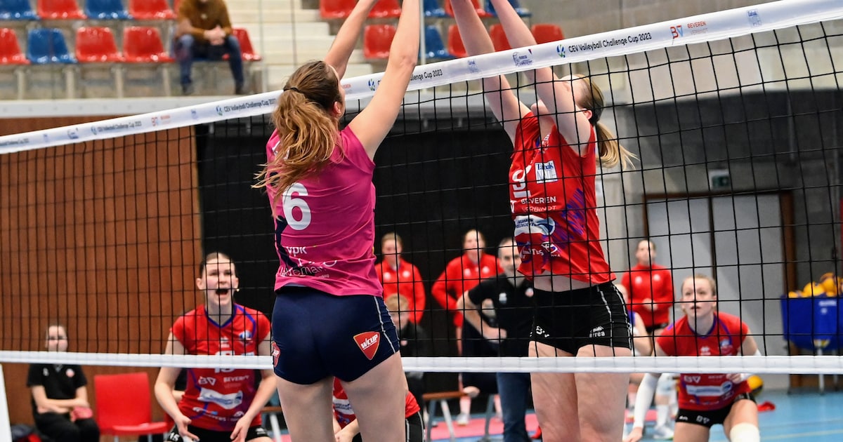 Dauke Vreys (VC Oudegem): “Roekeloos volleybal, hoge foutenlast en te veel twijfels” | Sport in ...