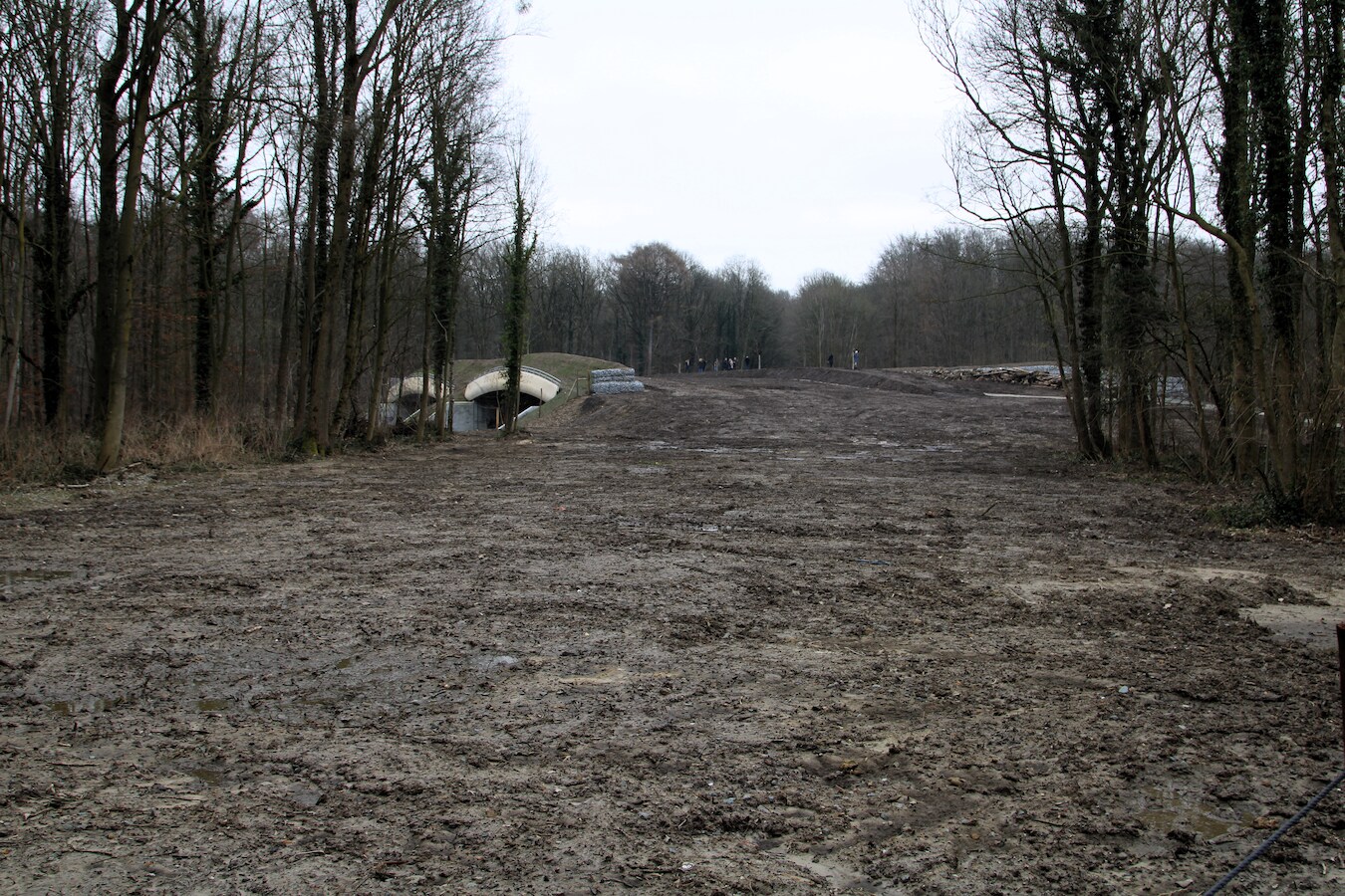Ecoduct Hallerbos is na twee jaar helemaal klaar: “Wandelaars, fietsers ...