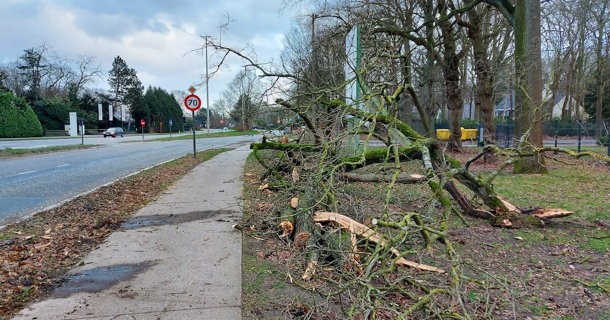 Talloze meldingen van stormschade in stadsregio Turnhout | Turnhout ...