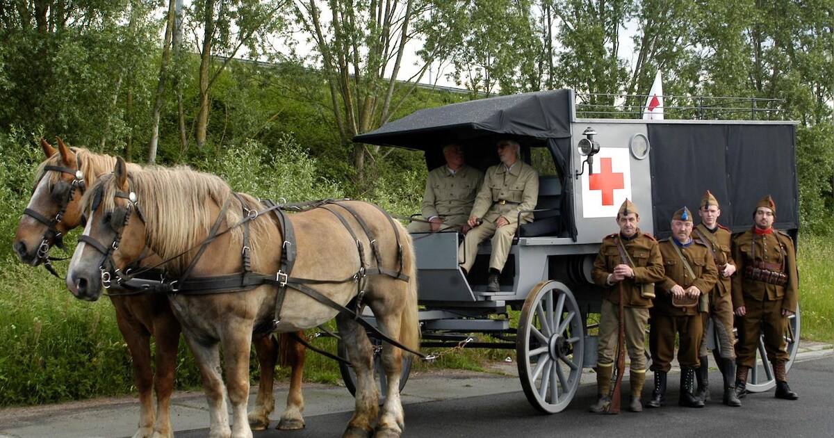 Familie bouwt 'paardenambulance' | Regio | HLN.be