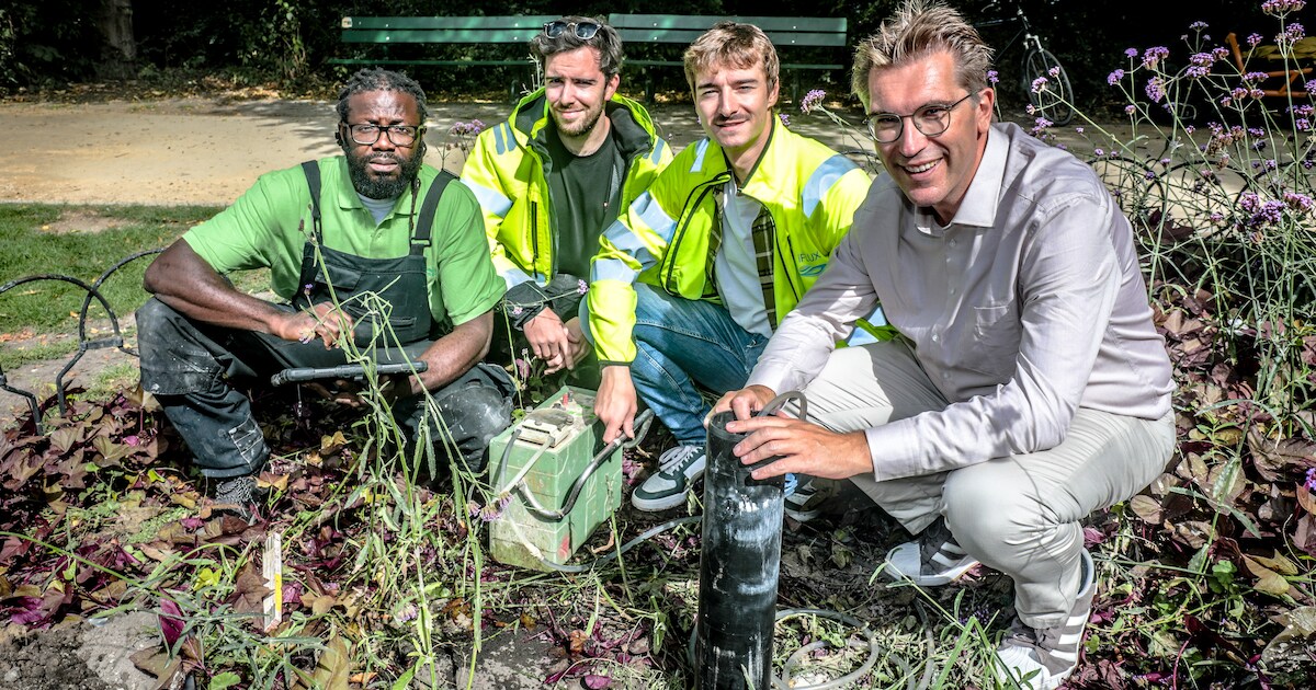 “Gezonde bomen, voldoende water... Elke Bruggeling zal hier de vruchten ...