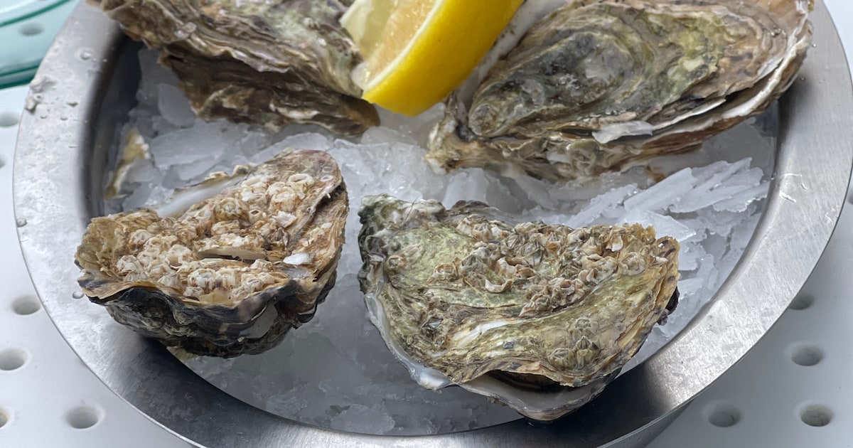 Het nieuwe jaar start met oesters aan café Vredeplein | Aalst | HLN.be