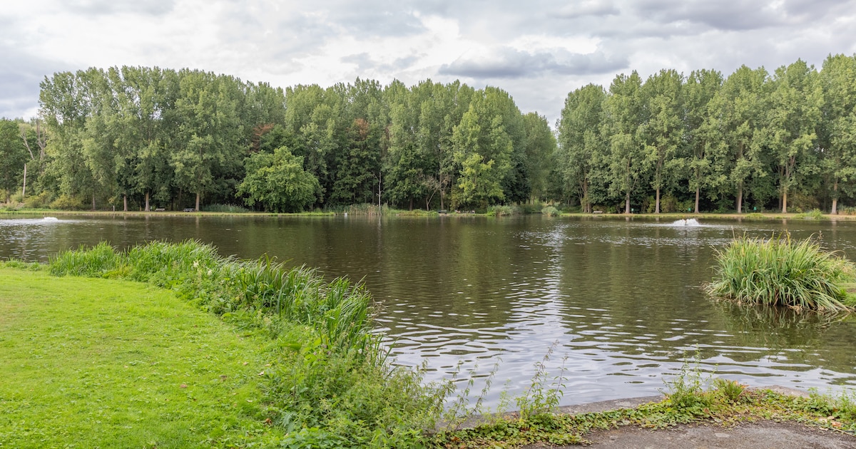 Natuurpunt start binnenkort met bouw Natuur.huis aan gespoelde put in ...
