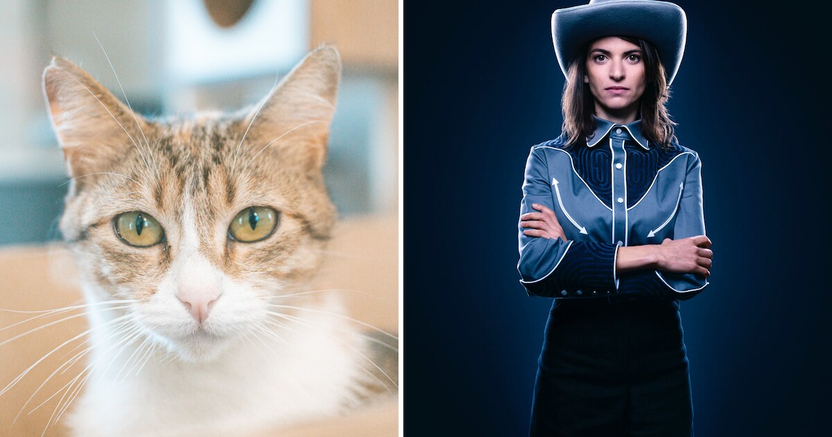 Haal Toos of Leila in huis: katten in Gents dierenasiel vernoemd naar ...