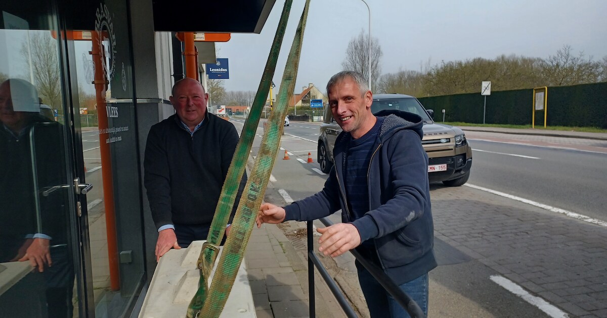 Verrast met betonblokken voor hun deur, maar pasgetrouwd slagerskoppel ...