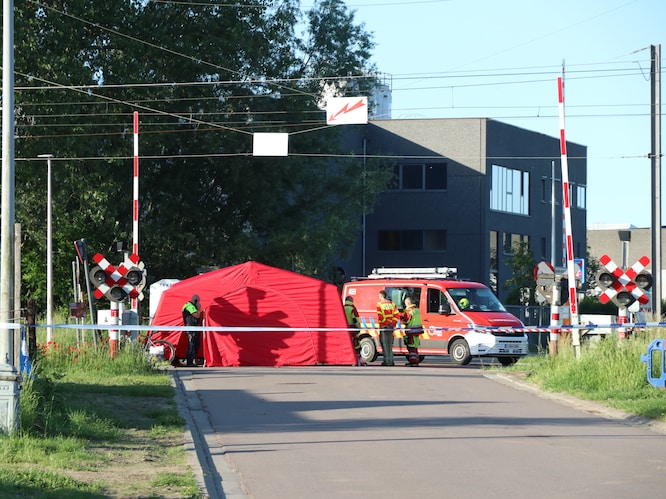 Lokeren | hln.be