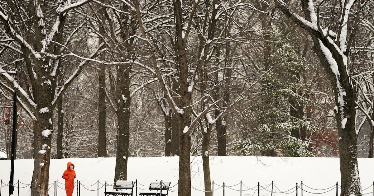 Hoeveel sneeuw zal er waar vallen? En wanneer trekt de sneeuwzone ...