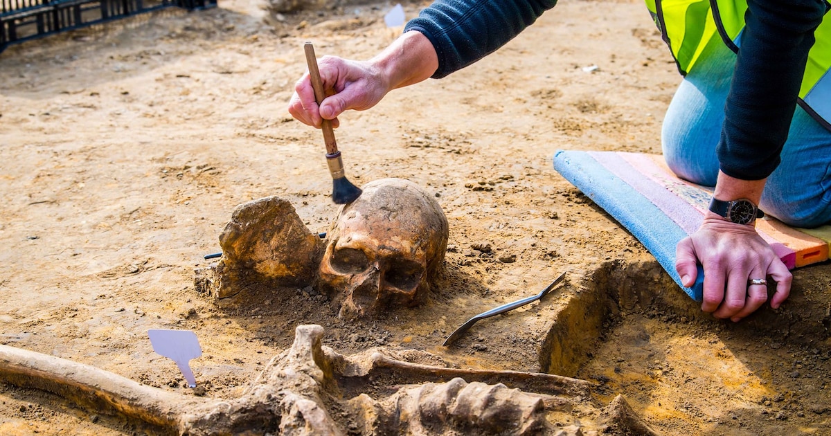 Tientallen skeletten gevonden tijdens opgravingen op Scheldekaaien: “Zelfs beenderen op minder ...