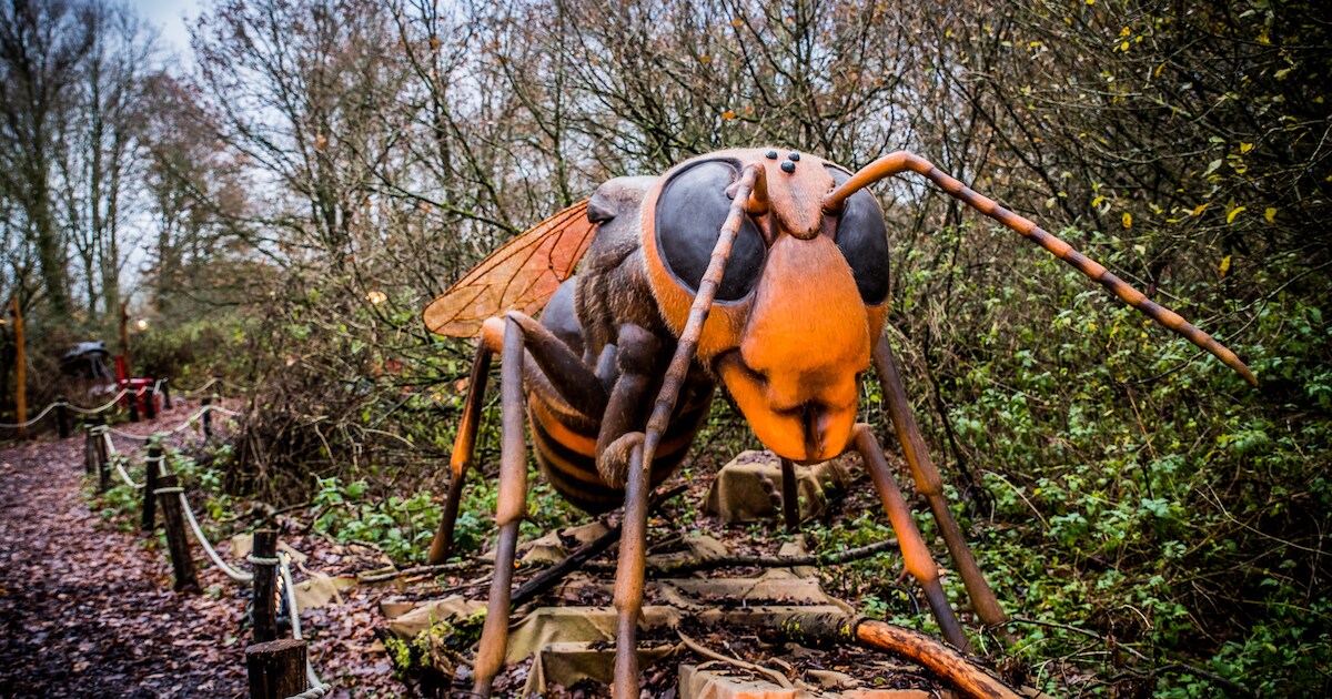 Van Mega-insecten bij Technopolis tot een lichtjeswandeling in Heist-op-den-Berg: Dit zijn onze ...