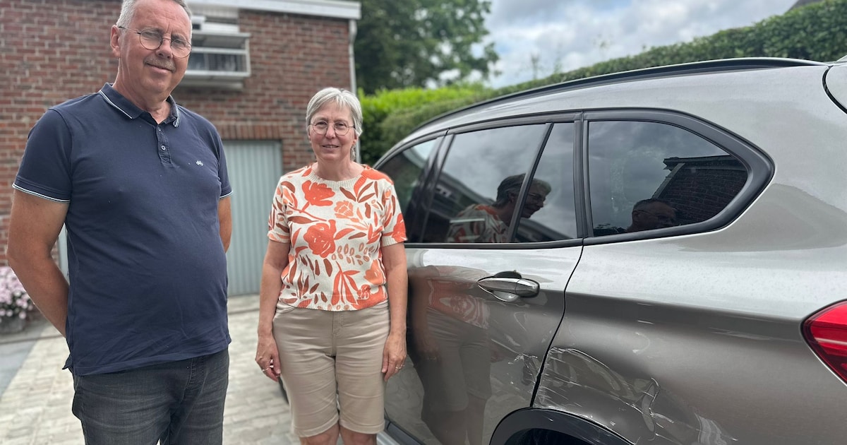 Rudy (66) en Ingrid (63) werden geraakt door camionette op expresweg en ...