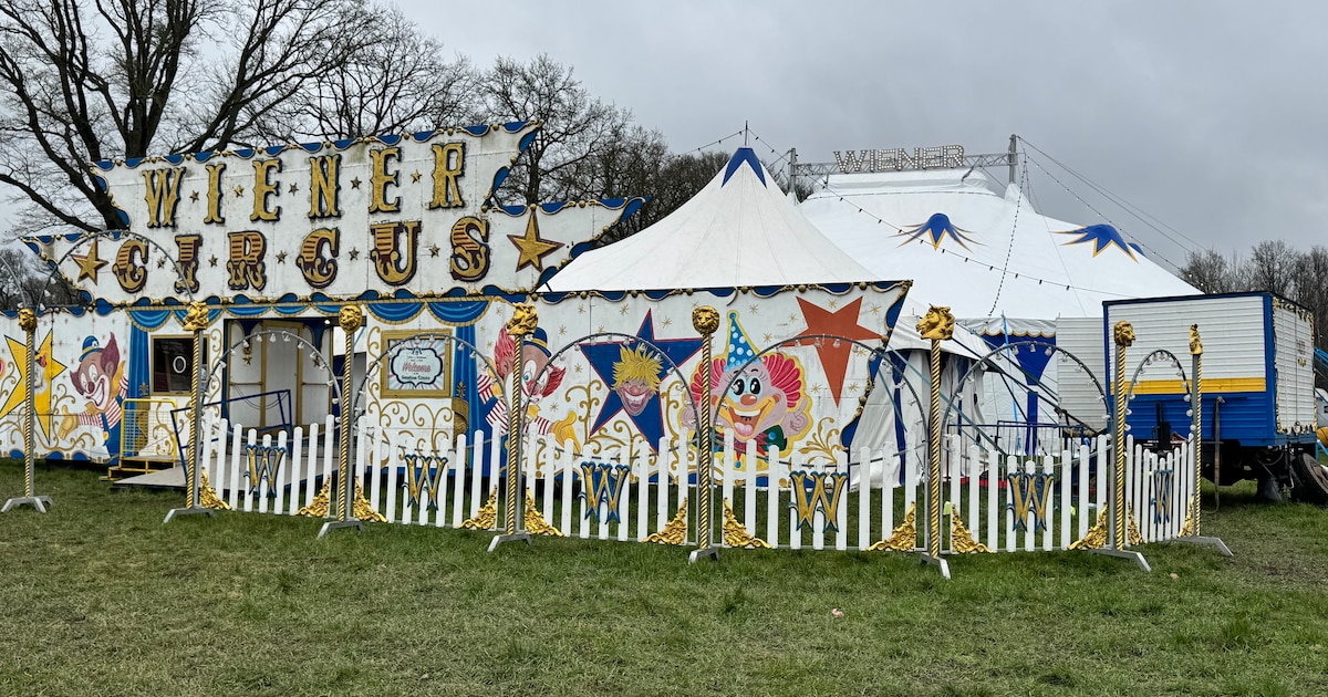 Wiener Circus speelt vier extra shows in Oostmalle | Regio | HLN.be
