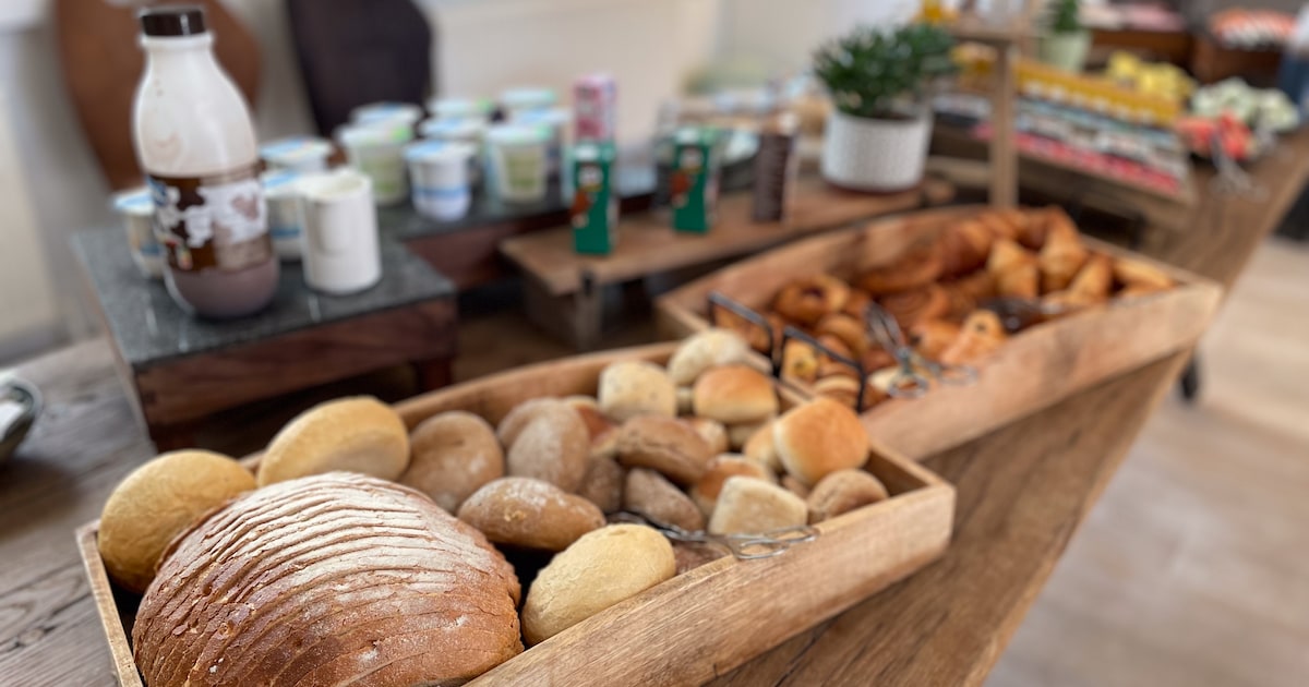 Ontdek Koewacht met een gegidste wandeling en geniet van ontbijt of lunch in de natuur | Stekene ...