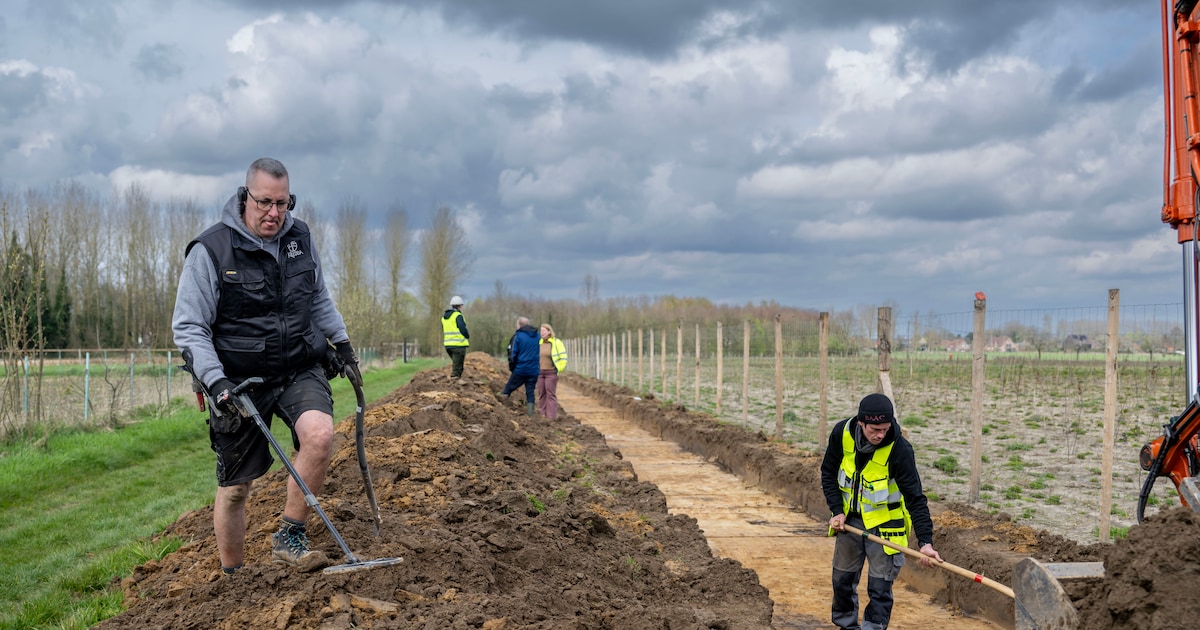 Na vondst van sporen uit Romeinse tijd bij bosuitbreiding: Onderzoekers ...