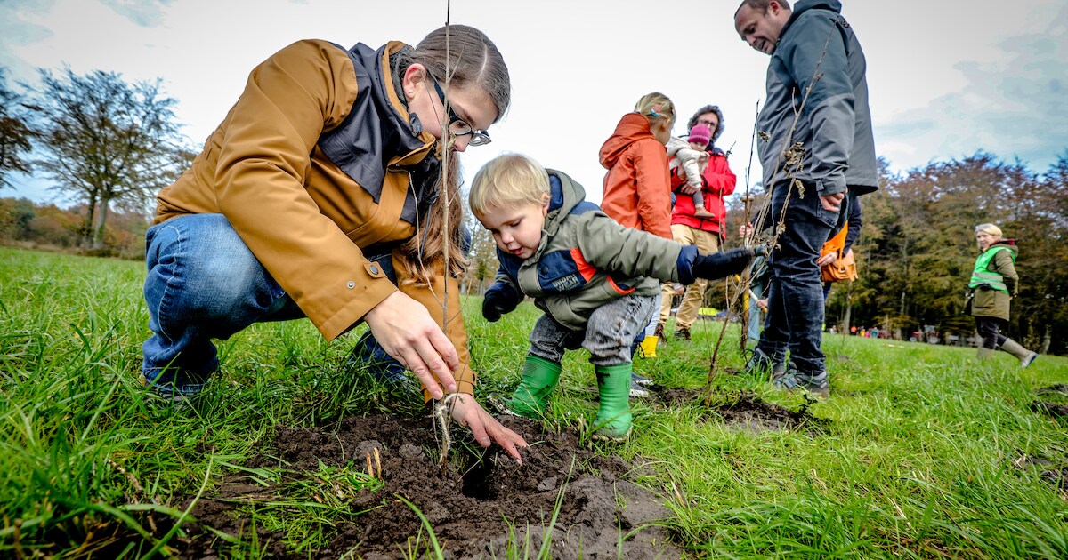 Boomplantdag in Geboortebos Brugge: “De kindjes vinden dat leuk om de ...