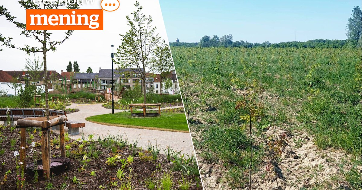 OPROEP. Waar is er nood aan meer groen in Roeselare? En hoe zou u dat ...