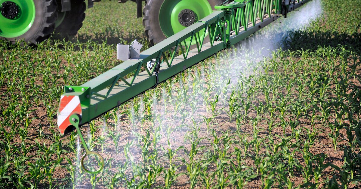 Bijna één op de tien Belgische kinderen woont in gebied met hoog risico ...