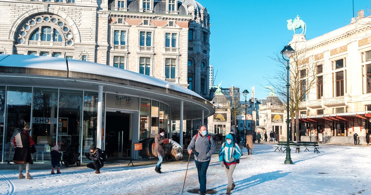 Stad Antwerpen zal kinderen vaccineren in de Zoo: “Wandelen in de ...