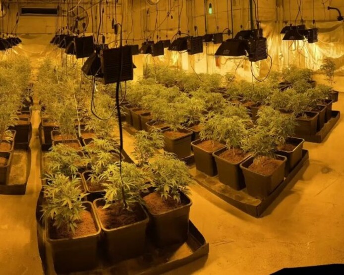 Spaanse politie brengt zware slag toe aan drugsbendes op Ibiza | Nieuws ...