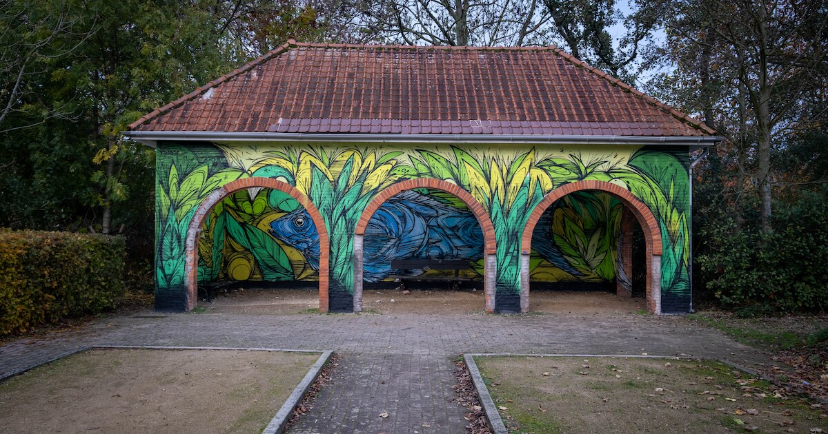 Straatartiest Dzia neemt prieeltje in park onder handen: “Hopelijk ...