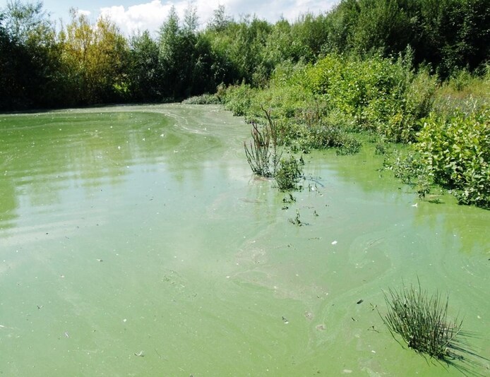 Nieuwe maatregelen voor kanaal Bocholt-Herentals (Kempisch Kanaal) door ...