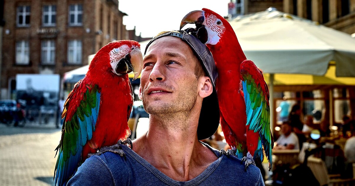 IN BEELD. Mathias laat zijn papegaaien Charlie en Riki regelmatig uit ...