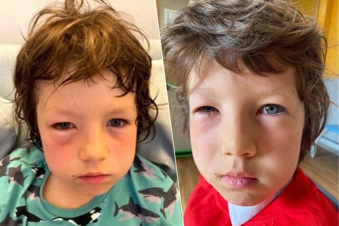 Britse jongen (8) belandt met ouders in pro-Palestijns protest in ...