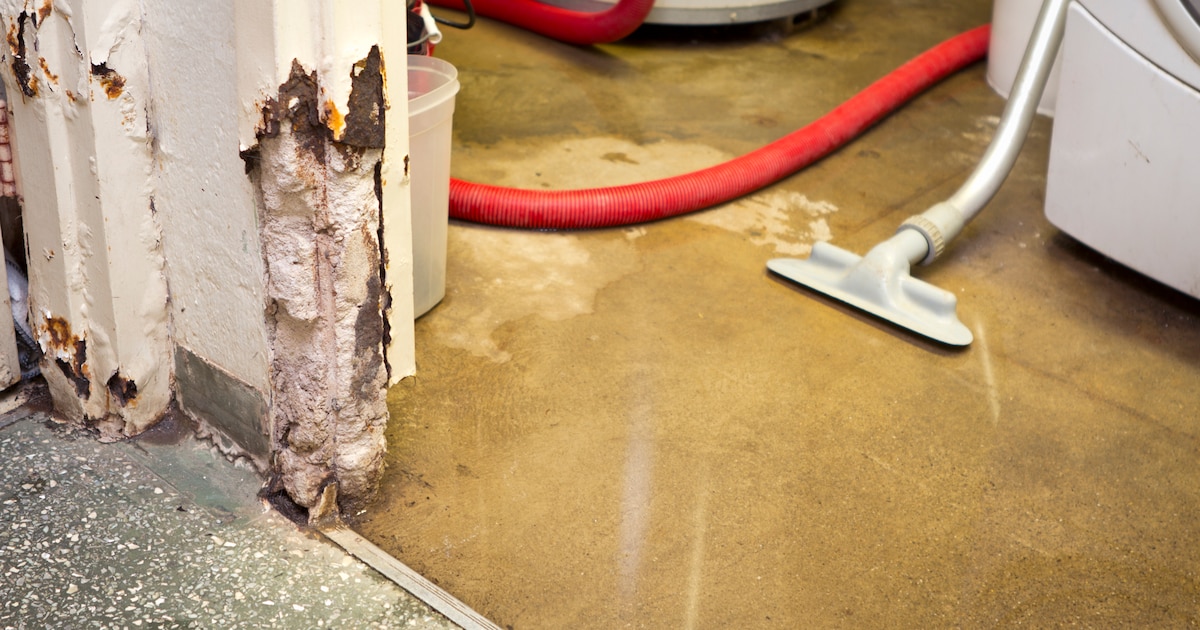 Bekuiping of drainage: hoe vermijd je vocht in je kelder? “Deze methode ...