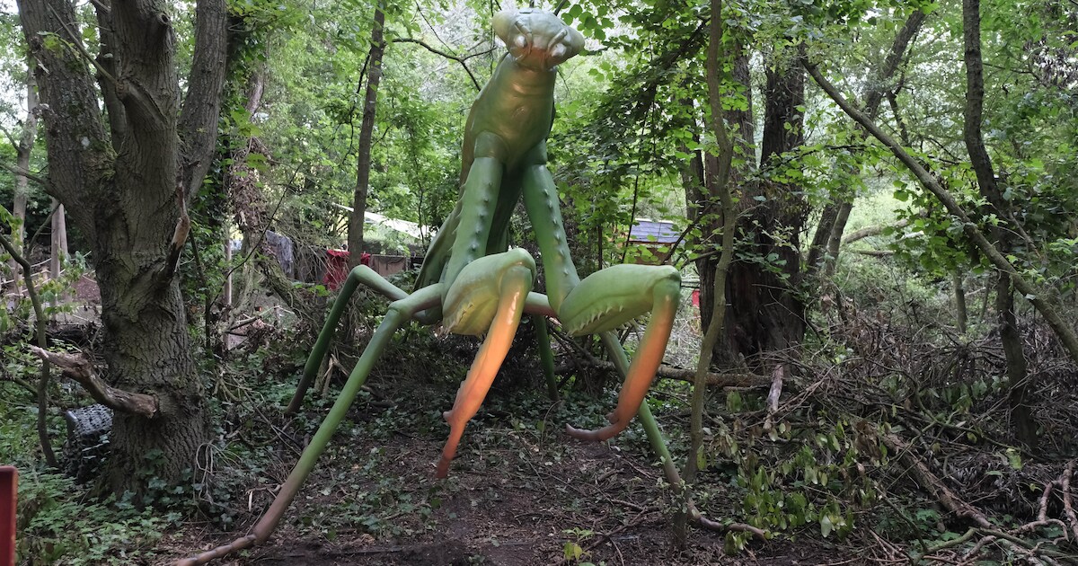 Technopolis opent deuren van ‘Insectopia’, waar insecten wel 5 meter groot zijn: “Hebben slecht ...