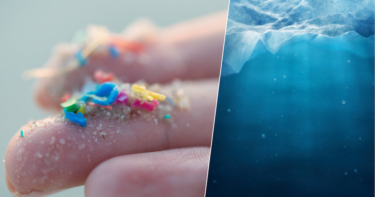 Meer microplastics op Antarctica dan tot nu toe gedacht | Buitenland ...