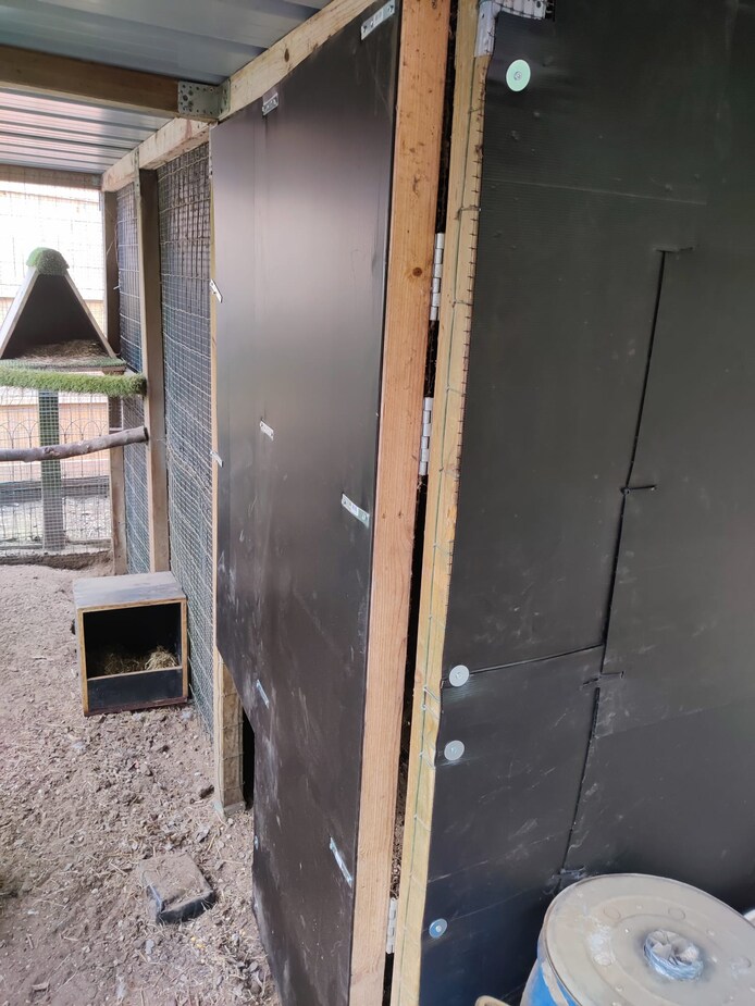 Hans de gans, Jefke de haan en Theo de kalkoen mogen blijven van de ...