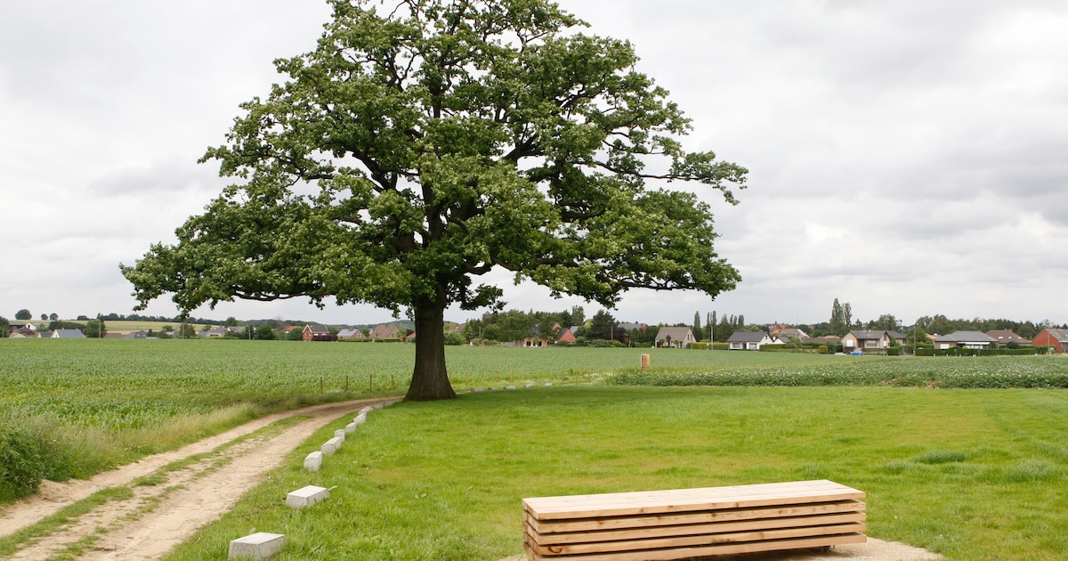 Ga op 5 juli mee op erfgoedwandeling door het schilderachtige Kaggevinne | Scherpenheuvel-Zichem ...
