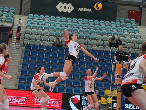Europese hoogdagen voor Belgisch clubvolleybal: zeven topaffiches in ...