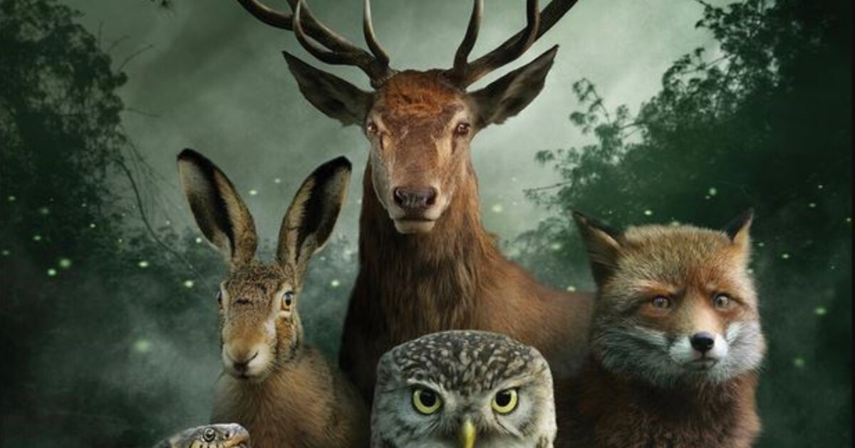 Lezing Pim Niesten over ‘Onze Natuur’ | Landen | HLN.be