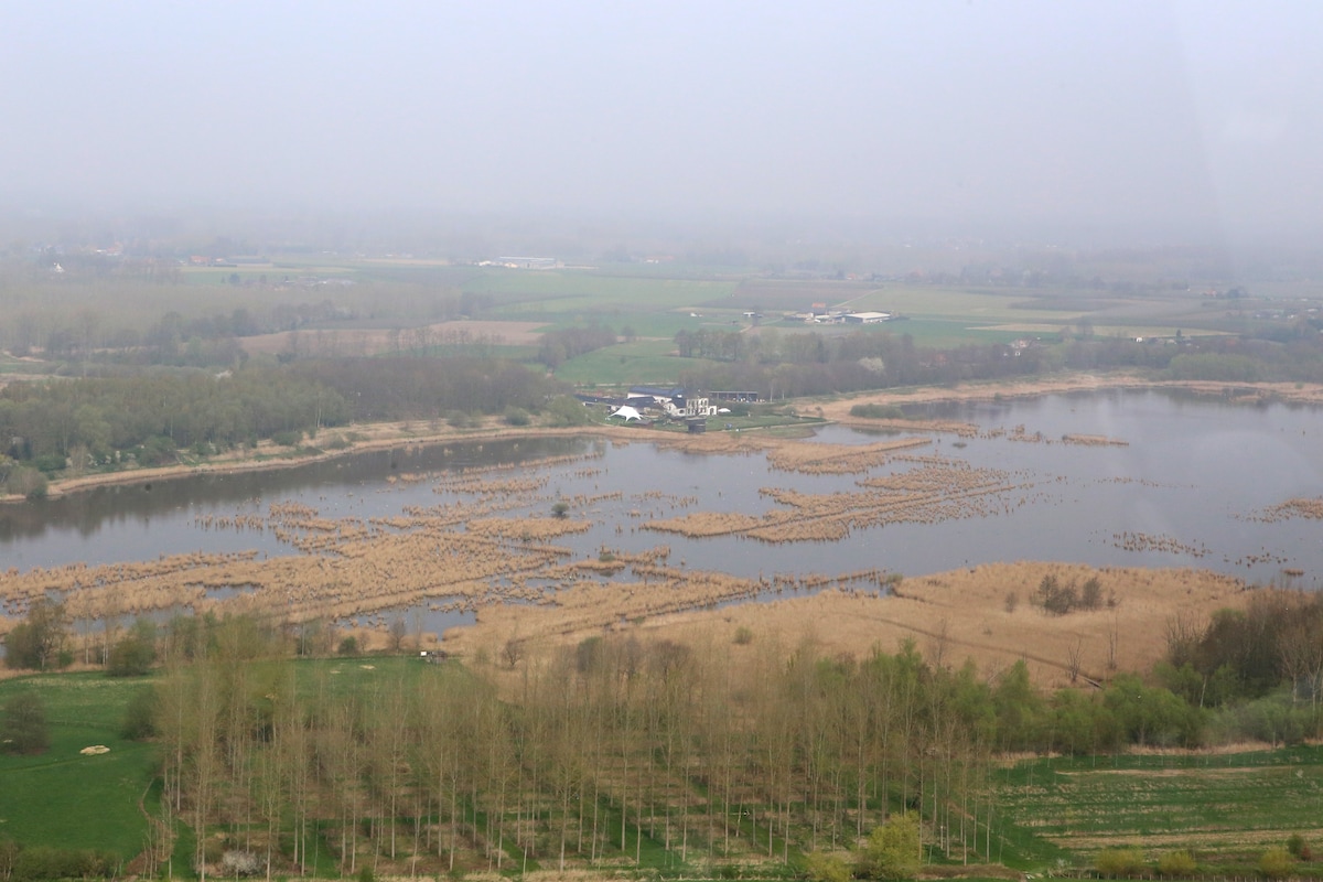 Het Vinne morgen gesloten wegens storm Goretti | Zoutleeuw | HLN.be