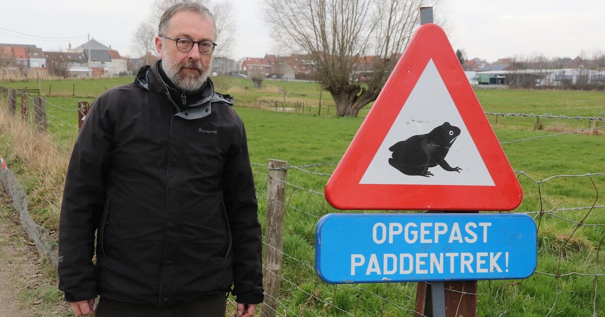 Wie helpt padden veilig oversteken? | Ieper | HLN.be