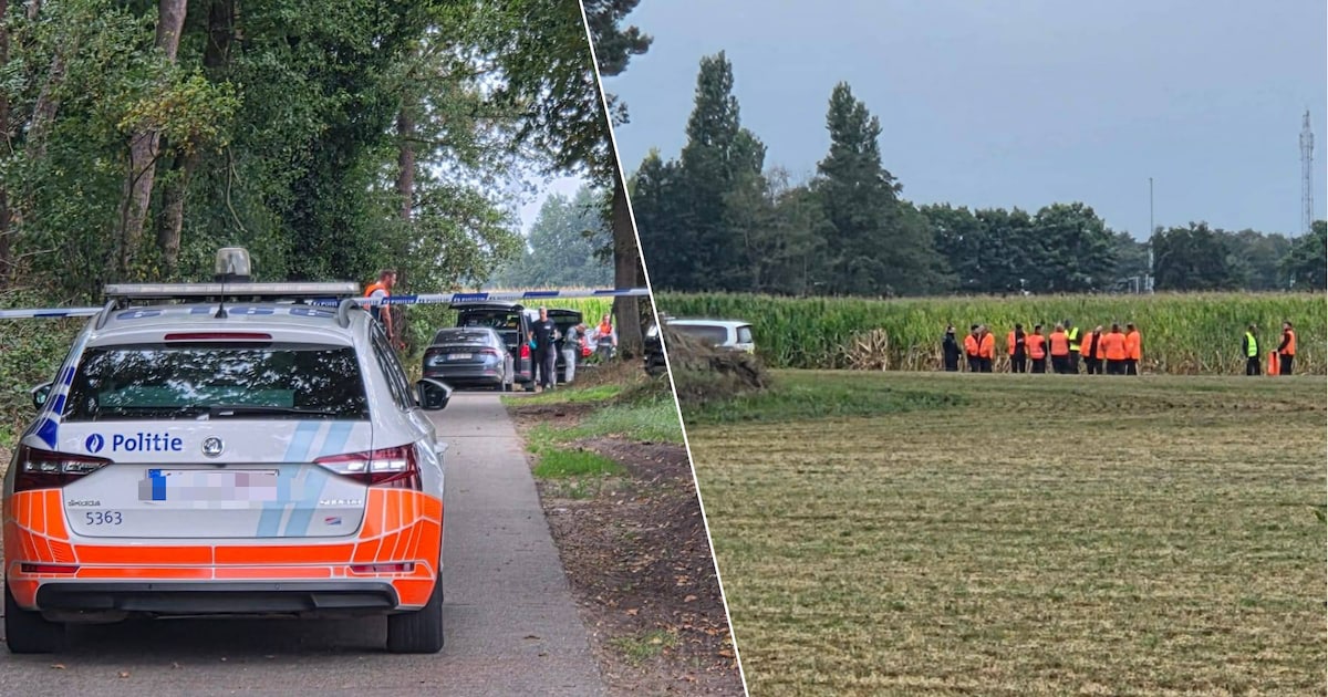 Lichaam aangetroffen in bosje naast maïsveld in Hoogstraten: onderzoek ...