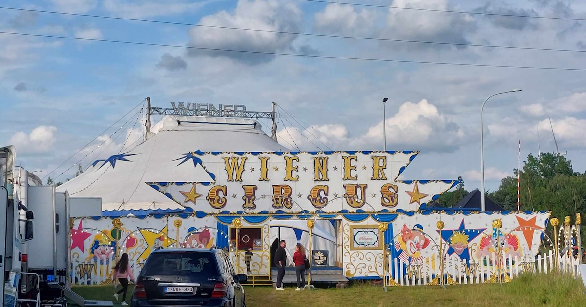Wiener Circus voert extra shows op in Elslo | Evergem | HLN.be