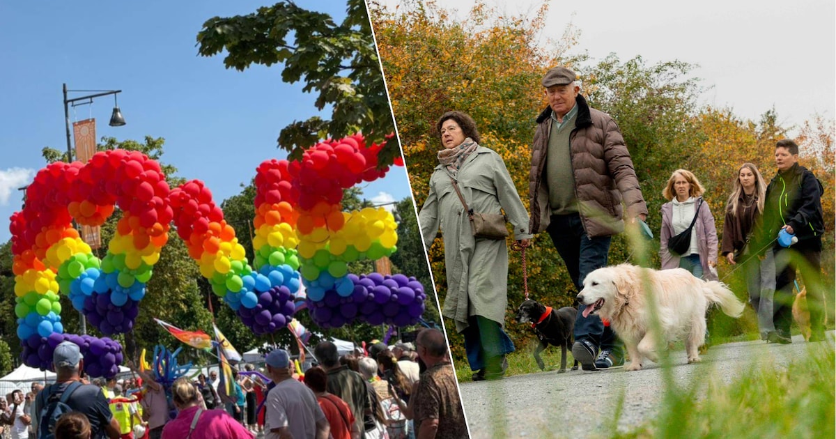 Wat te doen in Brugge en aan de kust dit weekend: van Bruges Pride ...