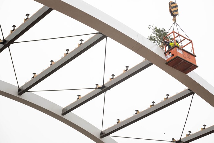 Stationsboog krijgt symbolische meiboom: “Als viering voor het bereiken ...
