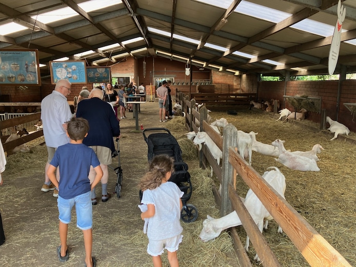Geitenboerderij ‘t Eikenhof zet kaasatelier open voor Ambachtelijk ...