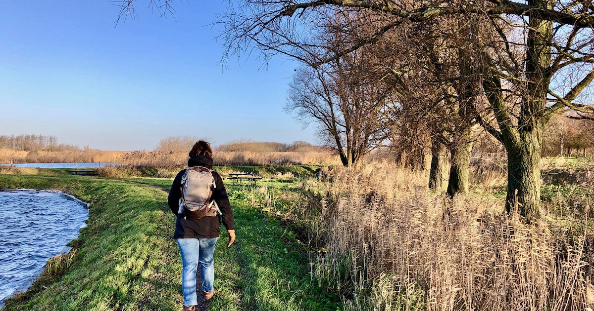 Natuurwandeling in de Heidemeersen op 10 september | Berlare | HLN.be