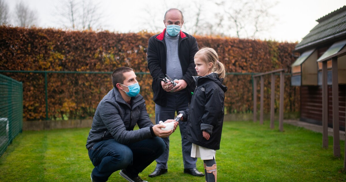 Zondagse zaalverkoop is laatste kans om te bieden op duiven en ...
