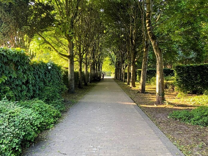 Stadspark en speelplein De Waaiburg voortaan ook 's avonds open | Geel ...