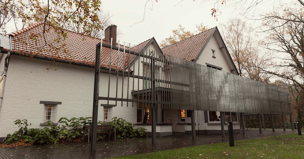 Emile Van Dorenmuseum opent tentoonstelling DAG & NACHT en stelt nieuwe ...