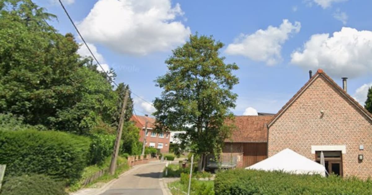 Drie inbraken in Temse: bewoner thuis op moment van feiten | Regio | HLN.be