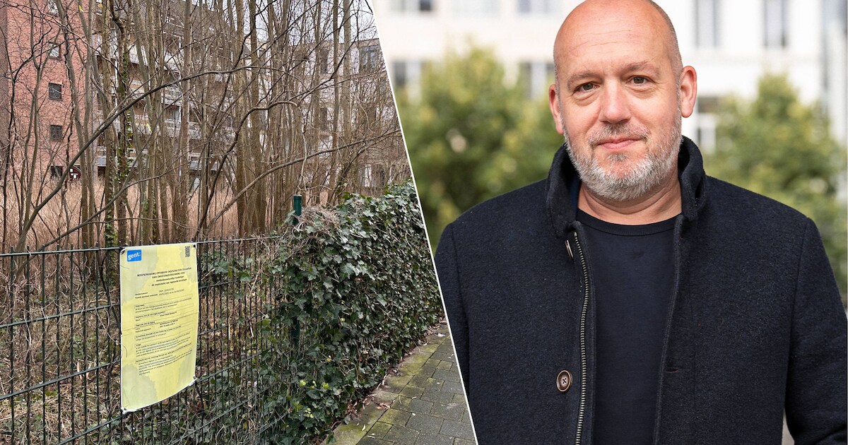 Nieuwe kapaanvraag voor bosje in centrum-Gent stuit op verzet: “In alle ...