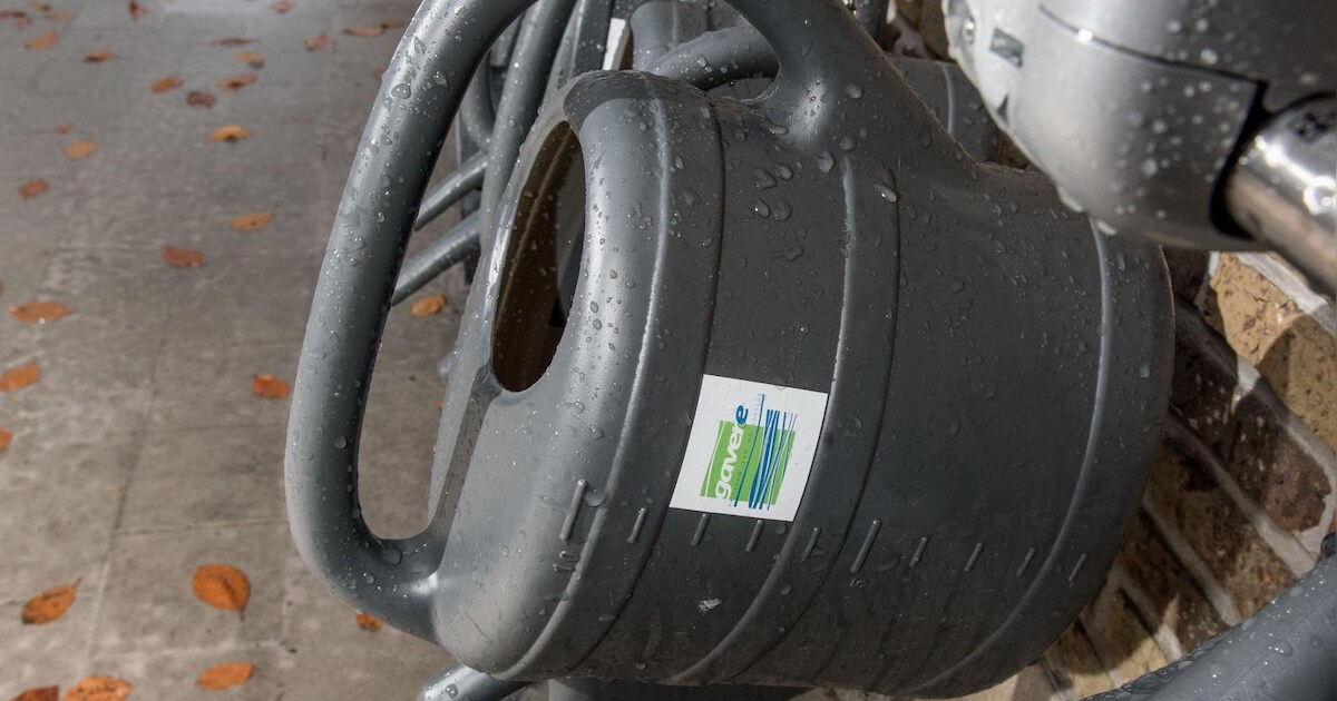 Gieterrek met munten op begraafplaatsen | Gavere | HLN.be