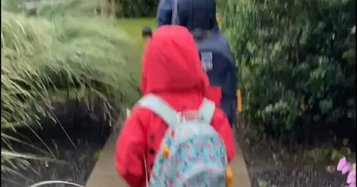 Louis, Lucas en Eloise uit Brasschaat zijn klaar voor hun eerste ...