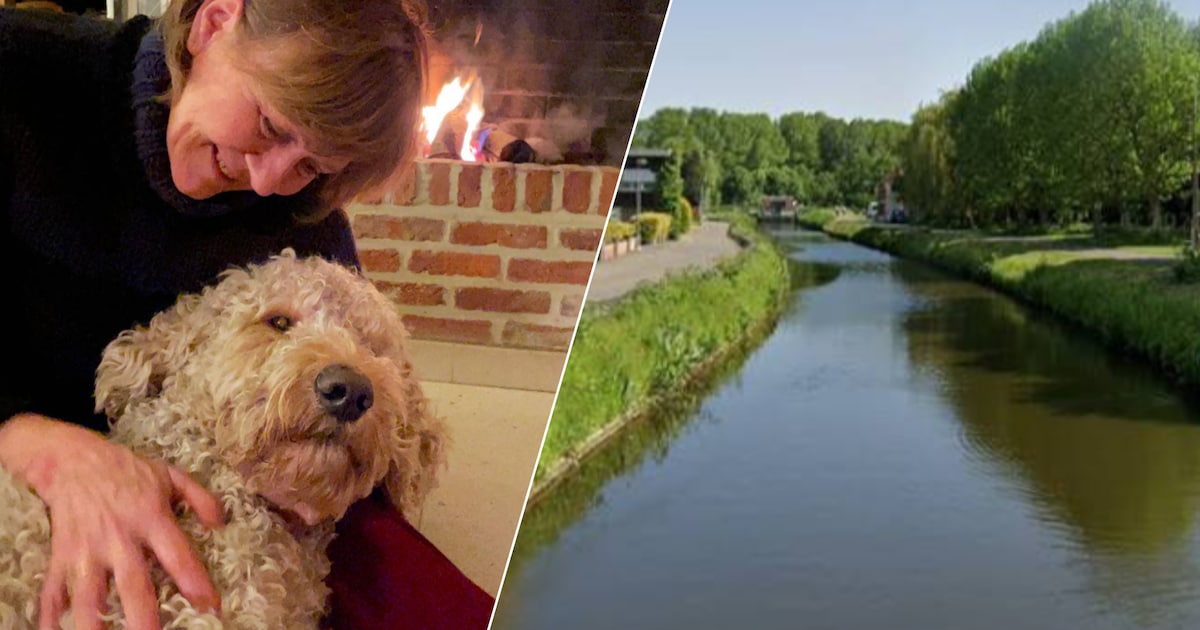 Viviane onderkoeld nadat ze achter hond zwemt in Molenbeek: “Anders was ...