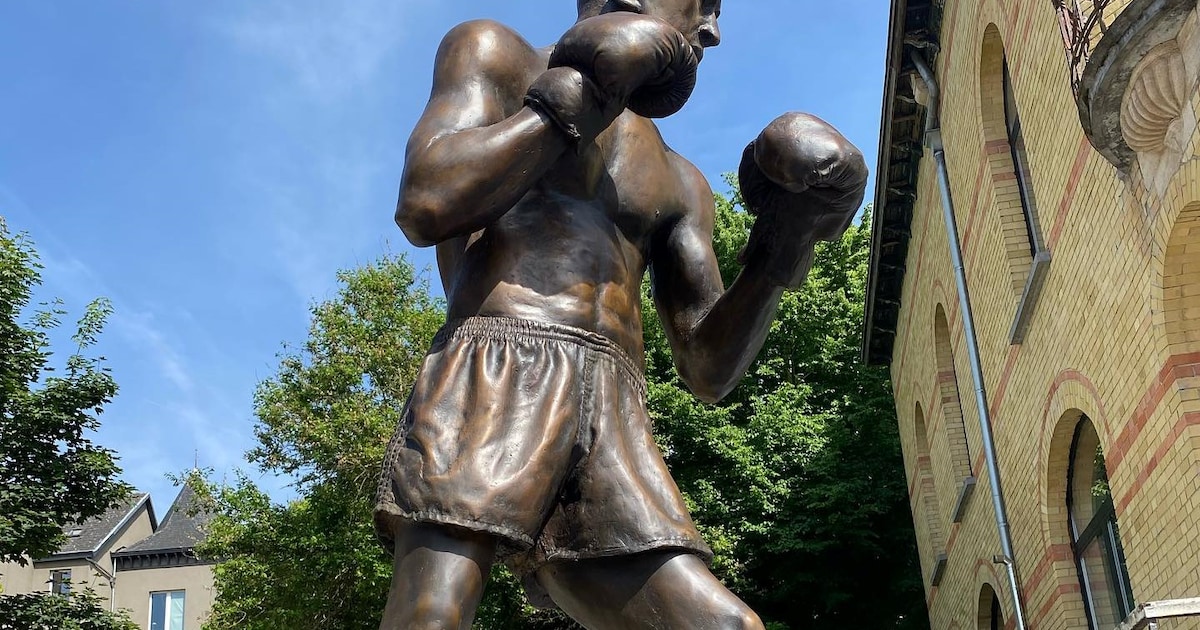 Bokskampioen Cyriel ‘Tarzan’ Delannoit komt thuis op de Vesten ...